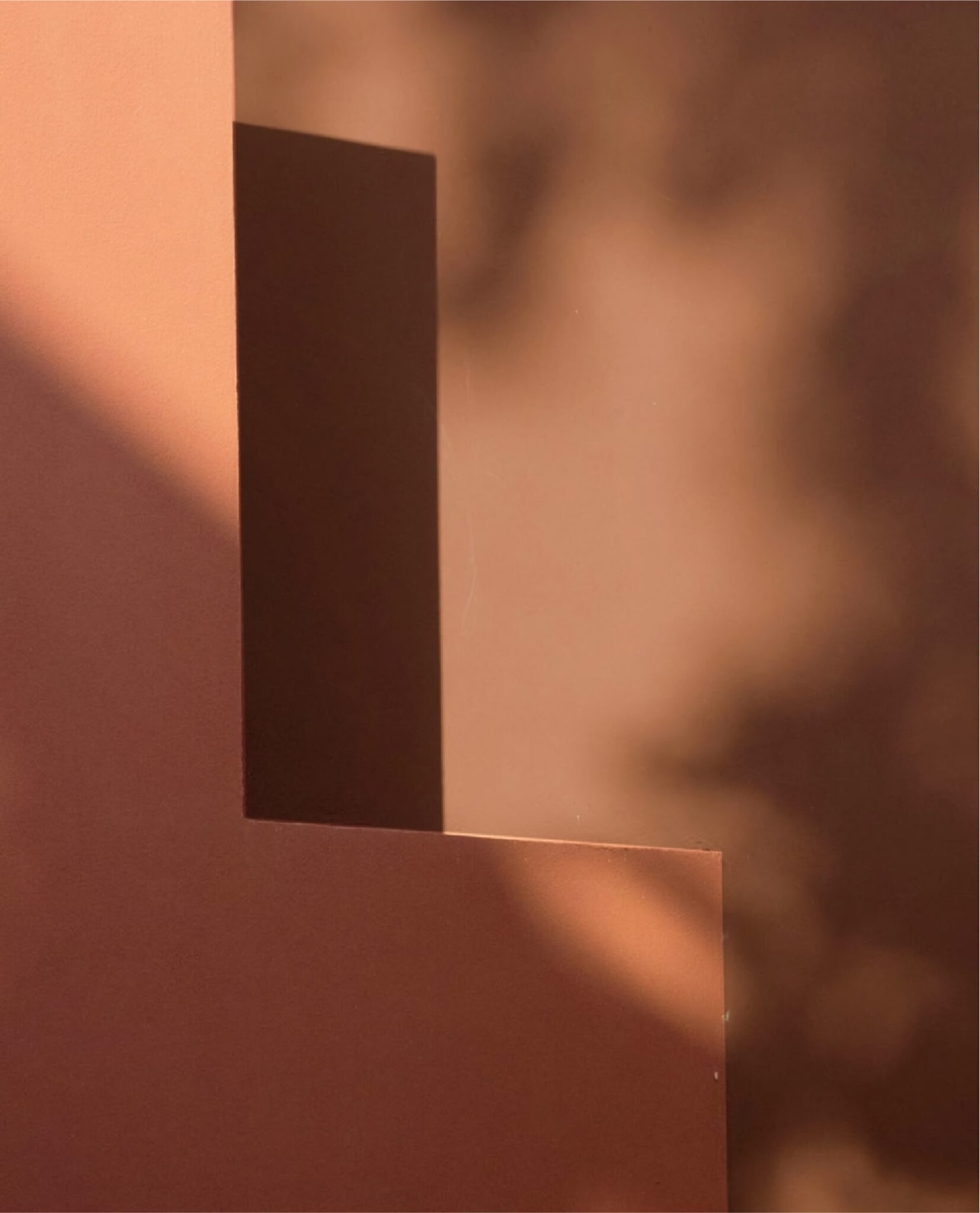 Supervision & Project Management | Mind